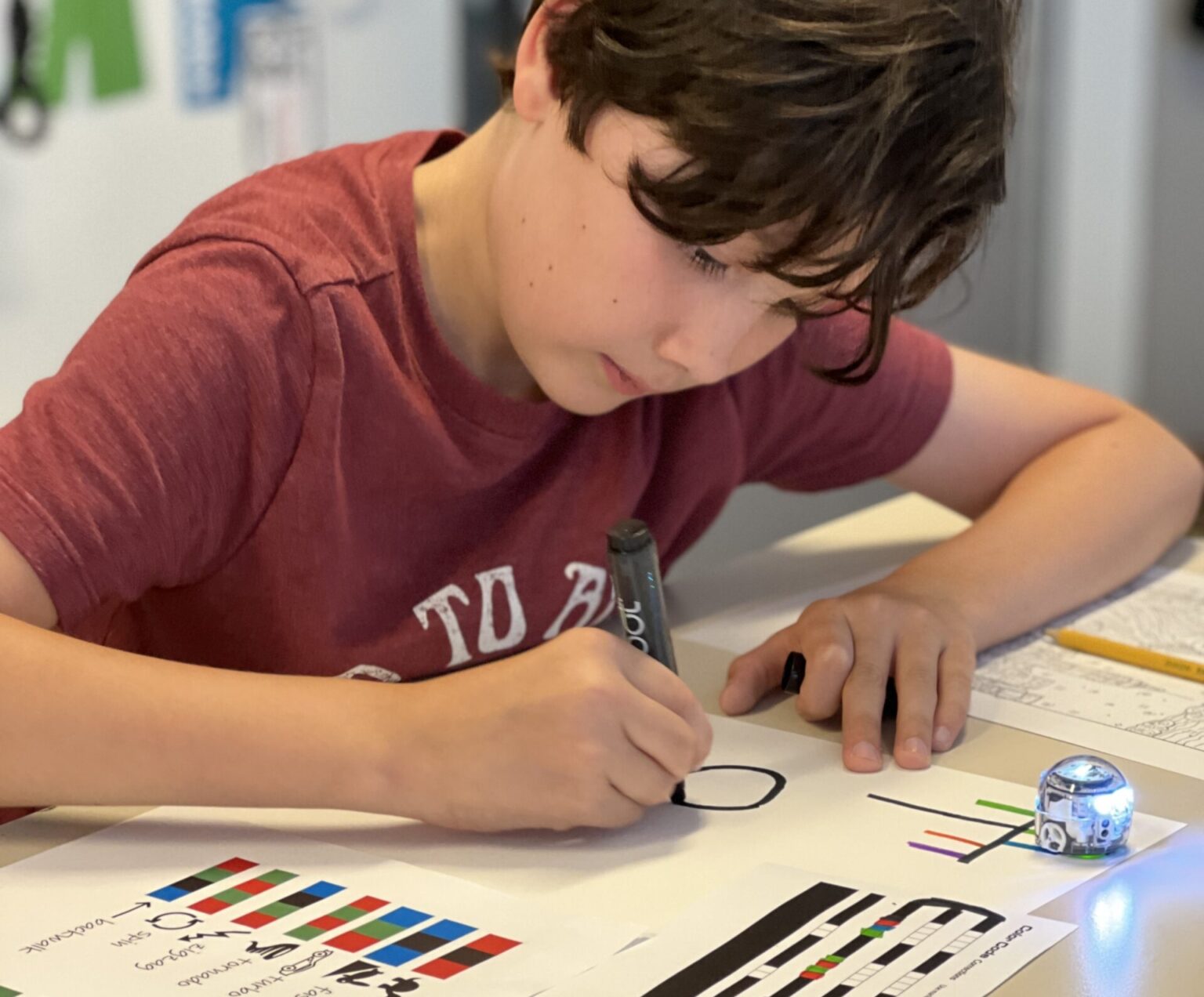 Sparking Innovation Early: Robotics and Engineering in the Primary ...